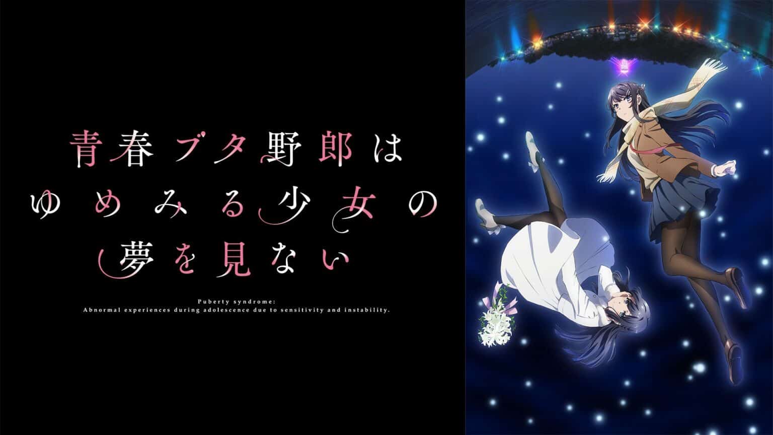 The Complete Guide to the Rascal Does Not Dream of Bunny Girl Senpai ...
