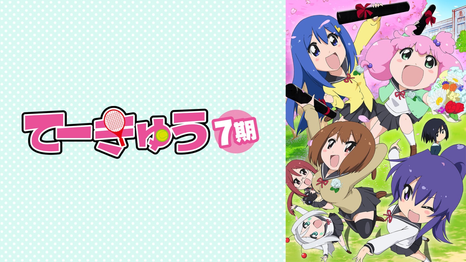 2025 Teekyu Complete Watch Guide: Spinoffs, Streaming, and Timeline ...